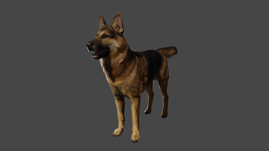 Open3DLab • COD WWII - German Shepherd