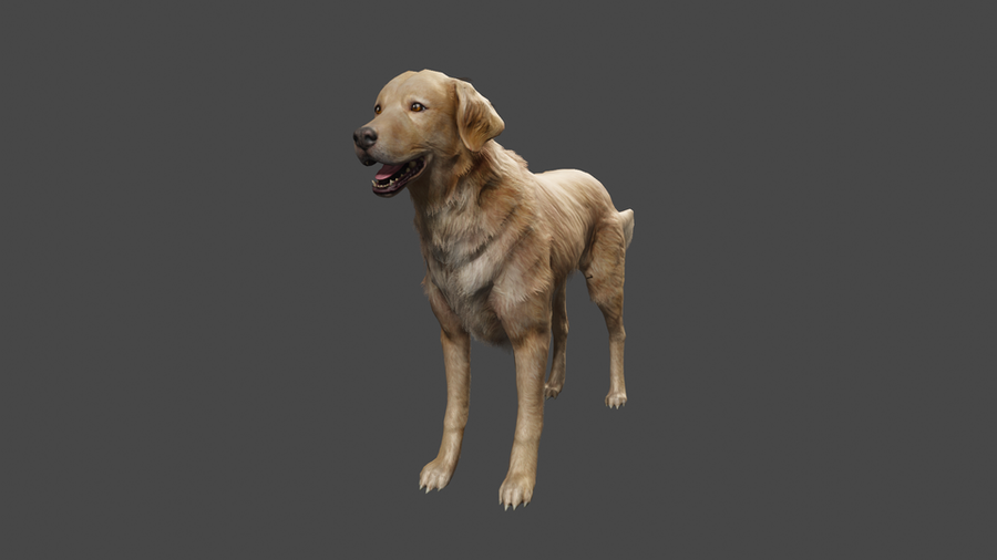 Open3DLab • Fallout 4 - Dog models