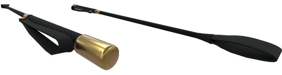 SFMLab • Riding crop whip + Paddle
