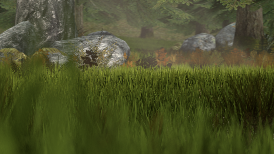 SFMLab • Forest Scene - Map