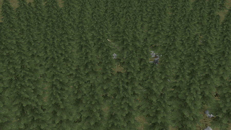 SFMLab • Forest Scene - Map