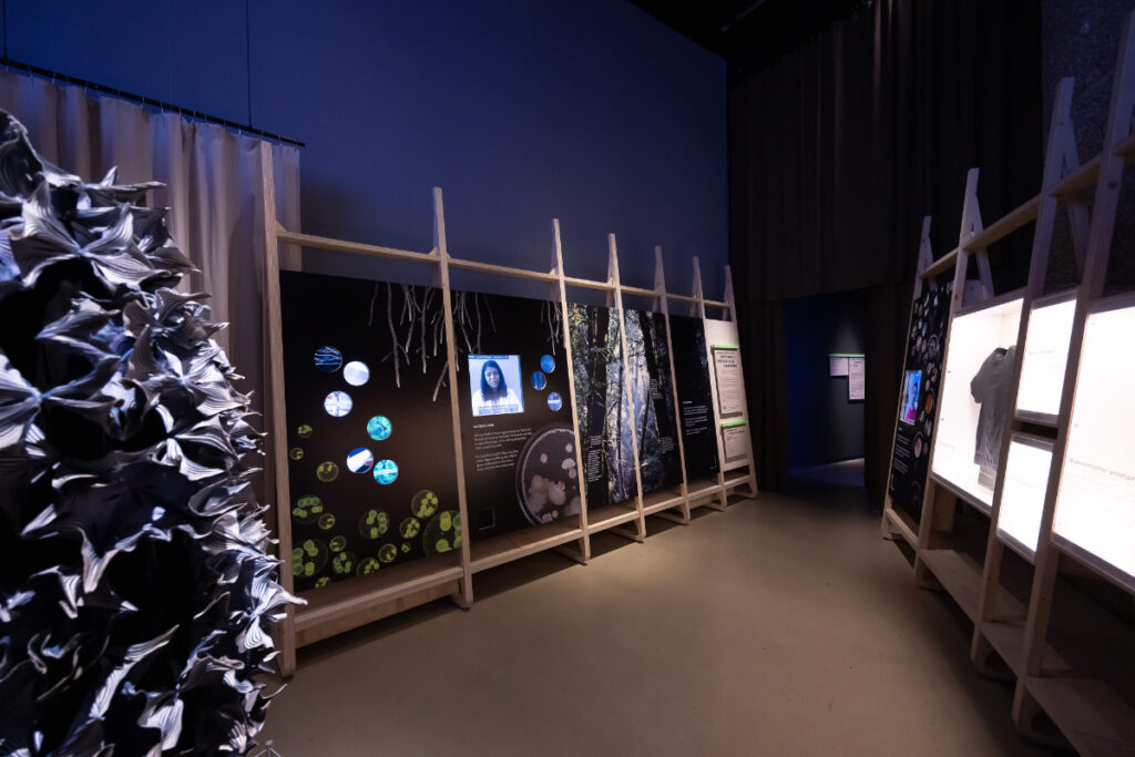 Sustainable and optimistic design in touring exhibitions - Teo Journal