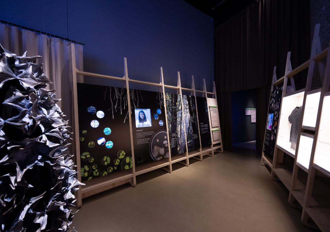 Sustainable and optimistic design in touring exhibitions - Teo Journal