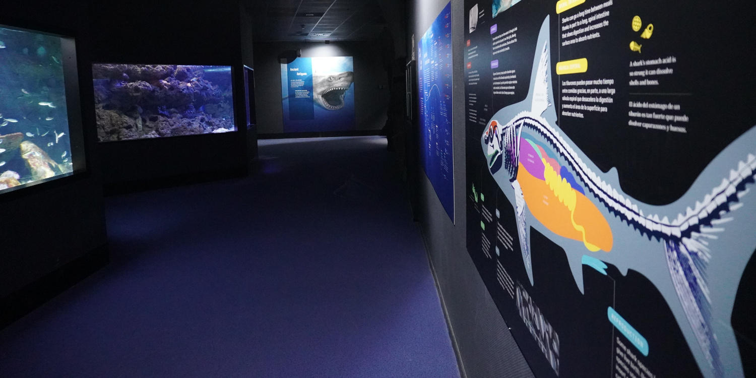 Diversifying the Aquarium experience : the added value of touring ...